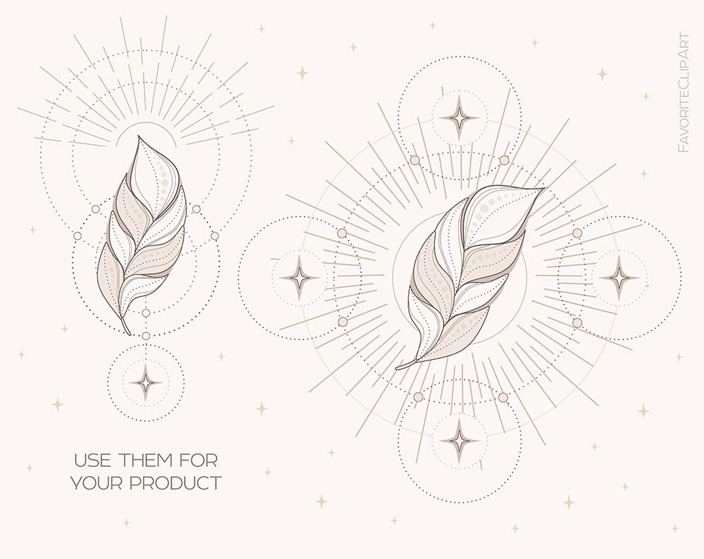 Magic Feathers Clipart. Ready to Print. Phoenix Bird Feather - Etsy