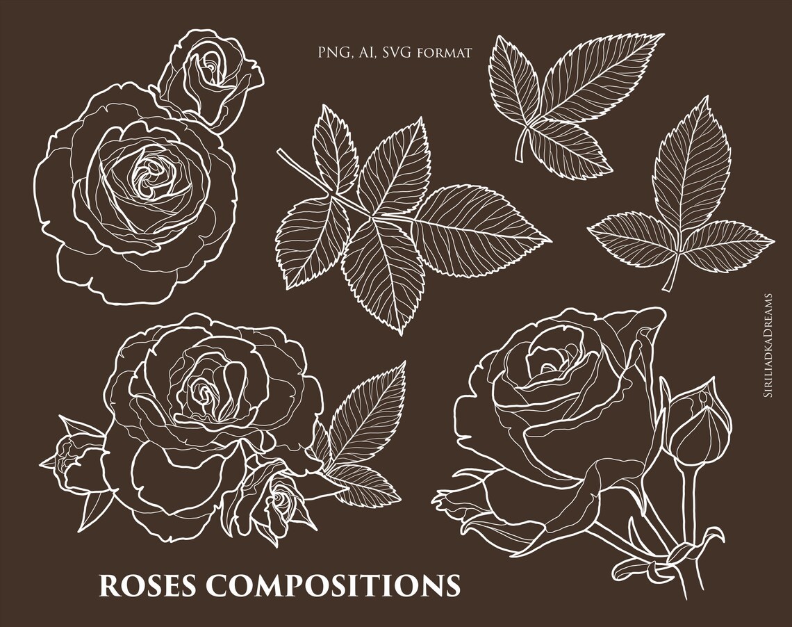 Vector White Roses Clipart Scrapbooking Roses Vintage.roses - Etsy