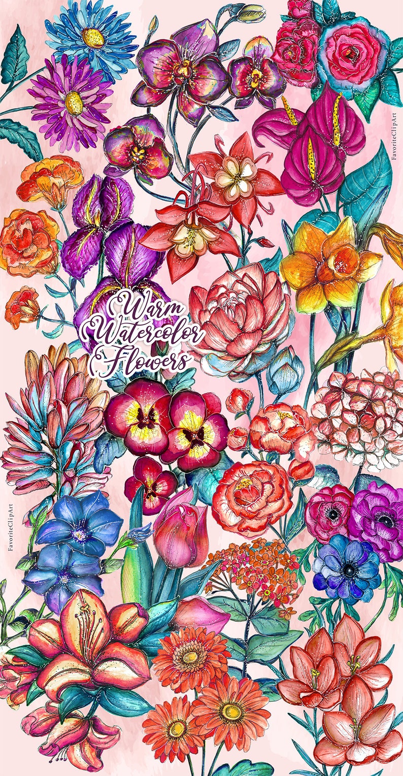 Collection of Watercolor Flowers in COLD Colors. Peony, Hydrangea, Rose ...