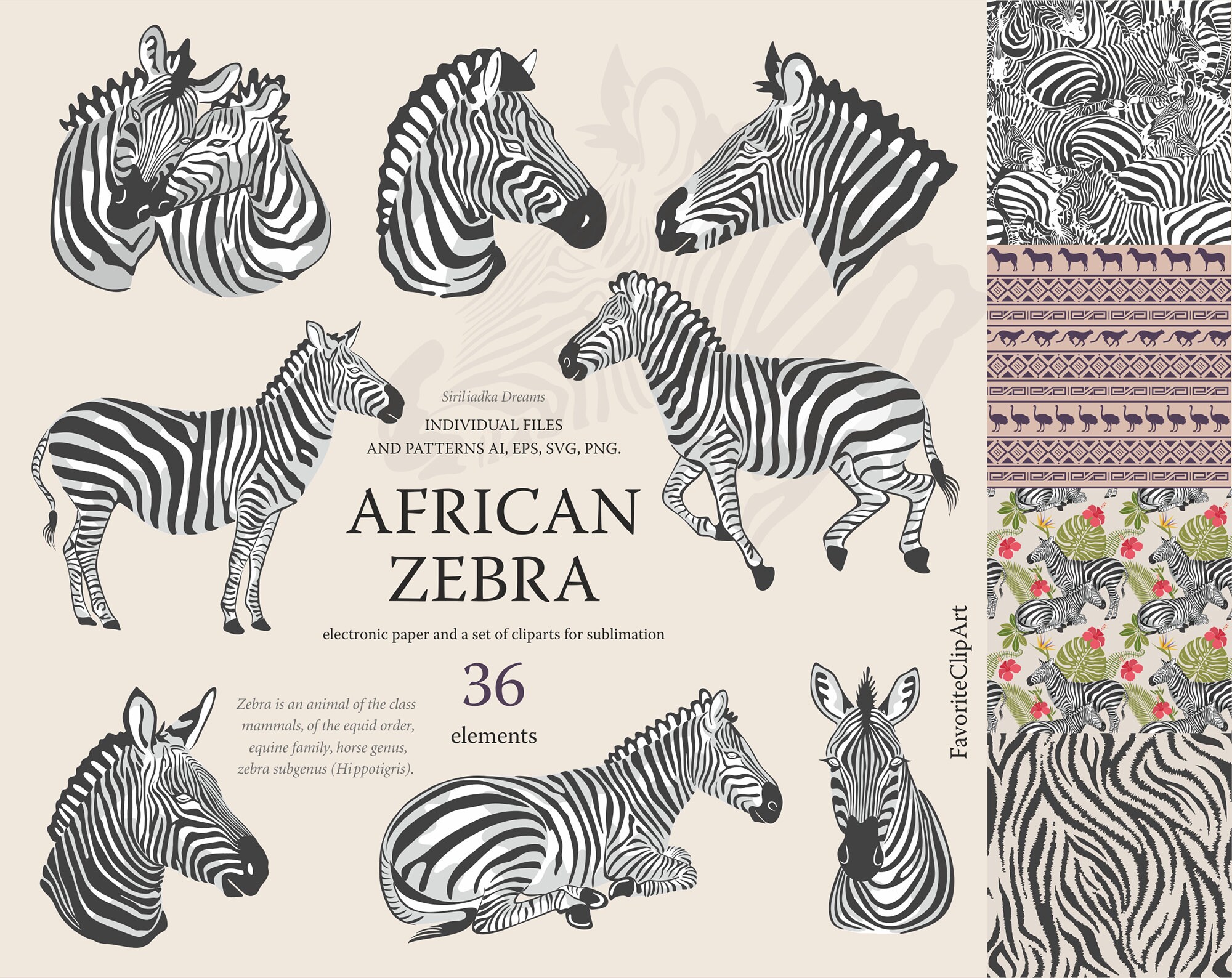 African Zebras Clipart, Striped Zebra Patterns, Striped Spots. Jungle ...