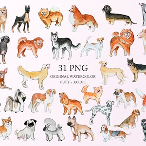 31 Cute Watercolor Dog, Watercolor Animals Pets Portrait, Dog Breeds ...