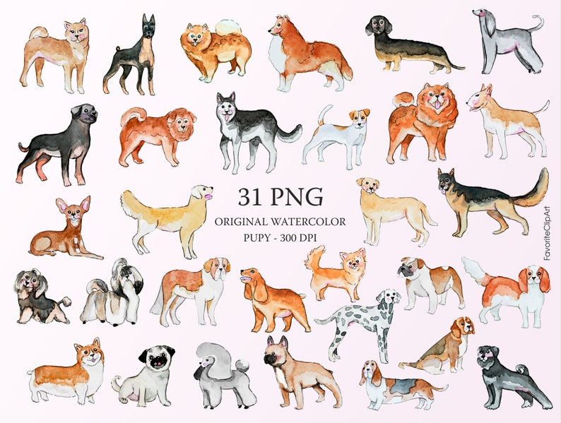 31 Cute Watercolor Dog, Watercolor Animals Pets Portrait, Dog Breeds ...
