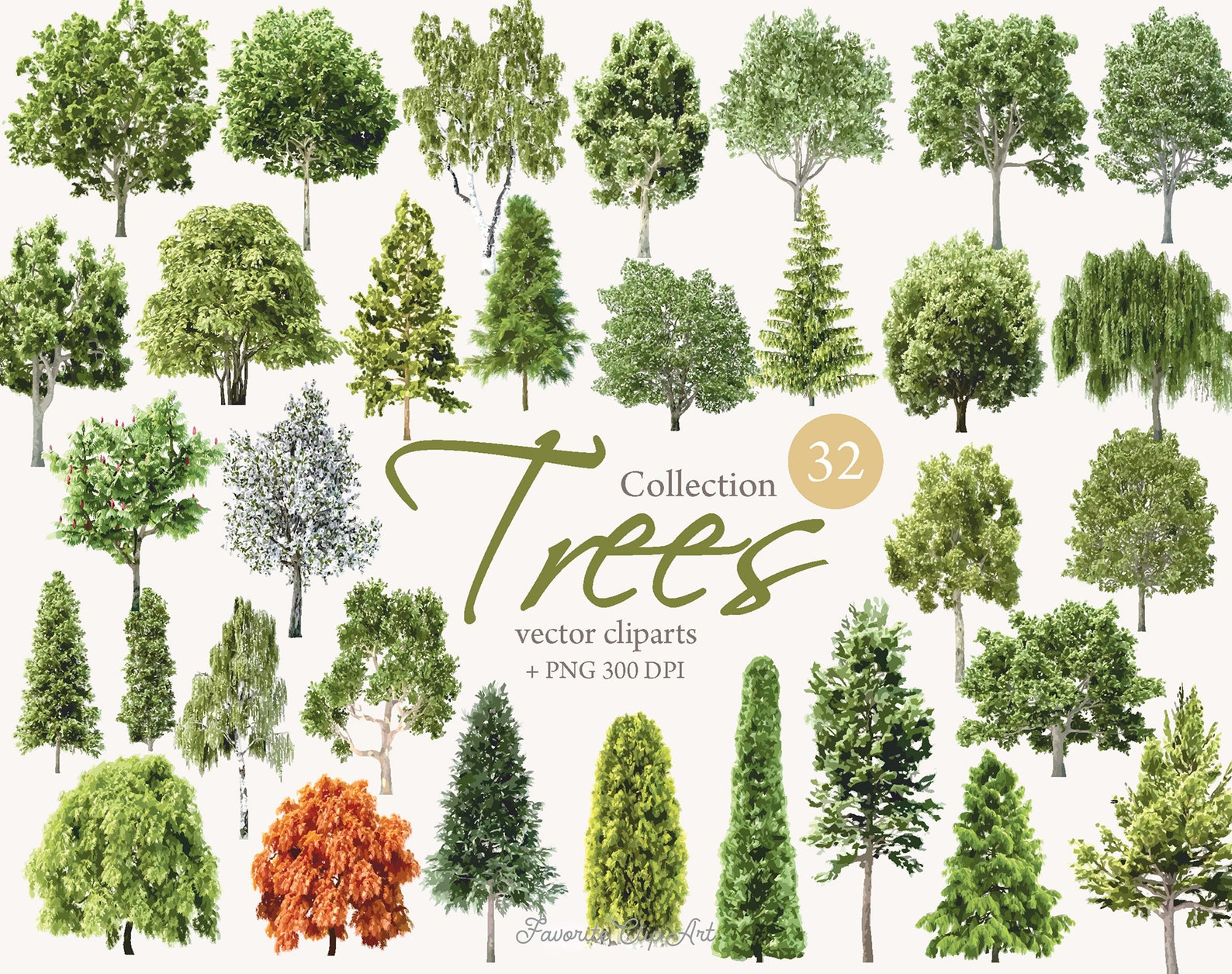 32 Tree Species Clipart, Vector Trees, Tree Silhouettes, Format: AI ...