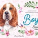 Basset Hound Dog Watercolor Portraits, Boy and Girl. Cute Pets Portrait ...
