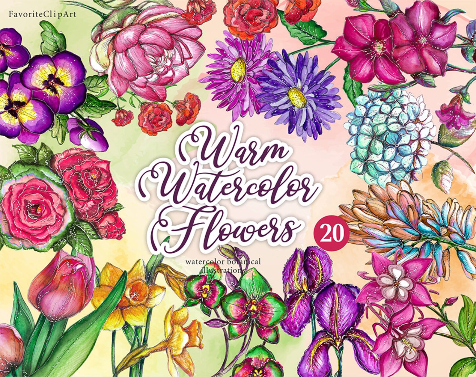 Collection of Watercolor Flowers in WARM Colors. Peony, Hydrangea, Rose ...