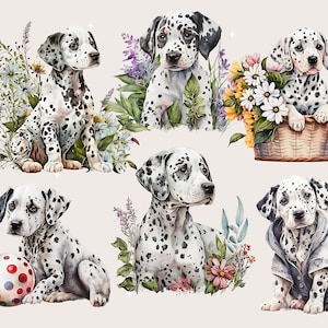 Dalmatian Watercolor Clipart, Spotted Dog, Puppies in a Basket, Puppies ...