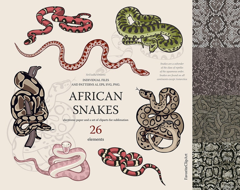 African Snakes and Reptiles Clipart and Patterns. Spotted Reptile Skin ...