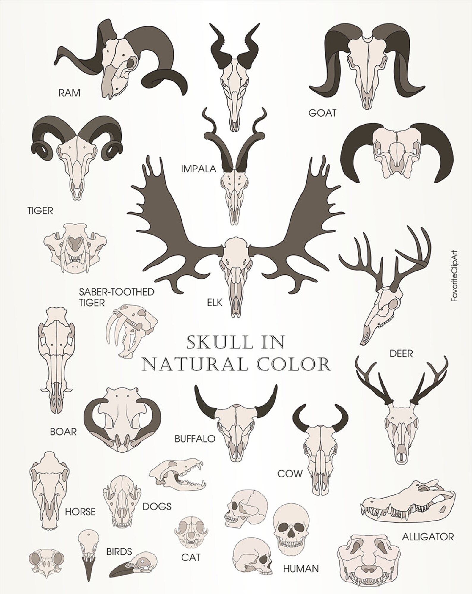 Collection of 81 Skull Cliparts. Skulls Silhouettes Tattoo | Etsy