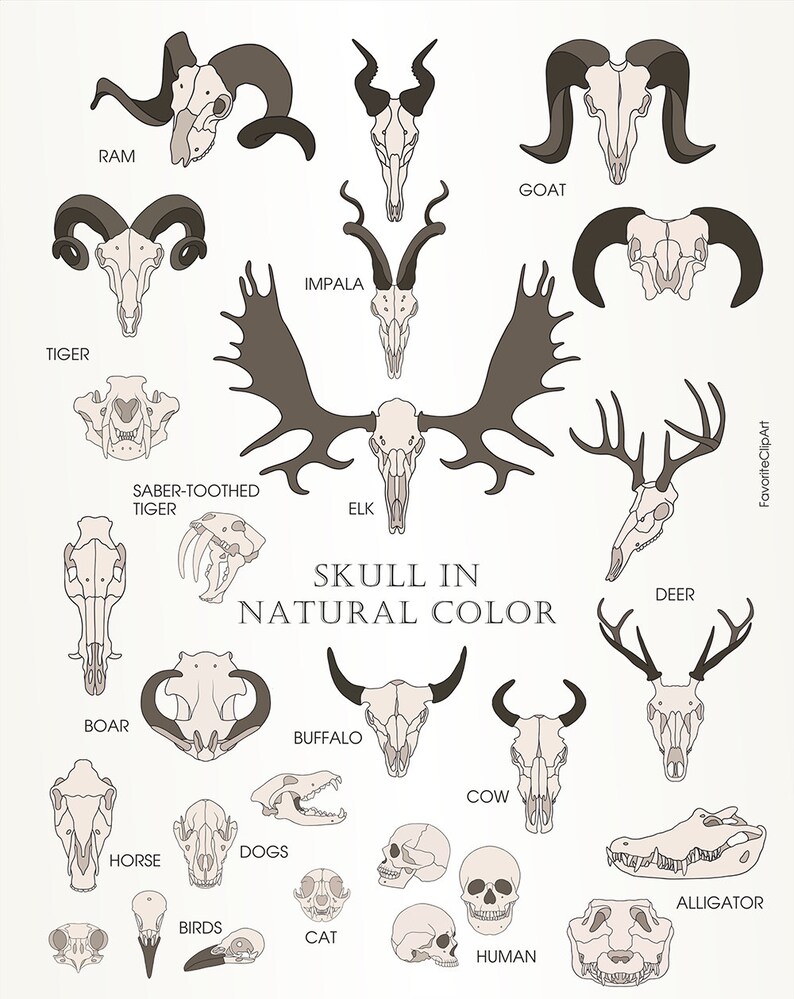 Collection of 81 Skull Cliparts. Skulls Silhouettes Tattoo | Etsy