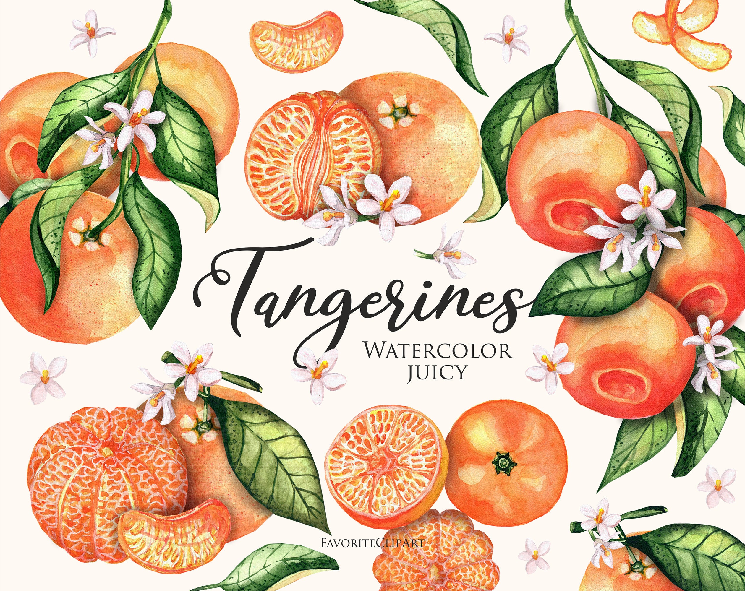 Tangerines Clipart Flower