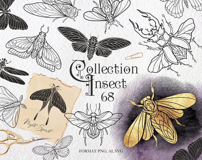 Collection of 68 Insects Clipart / Beetles in Lines for Stickers ...