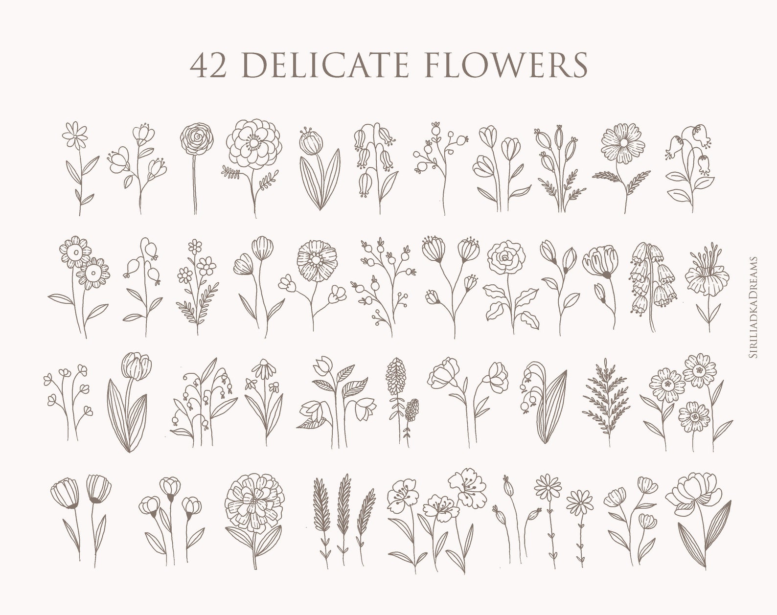 42 Vector Line Delicate Flowers Clipart, Scrapbooking Flowers Vintage ...