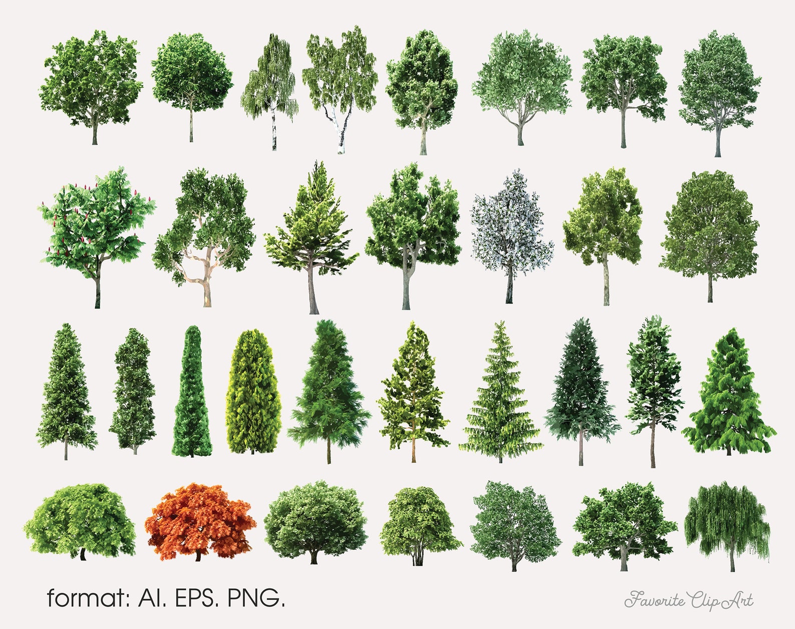 32 Tree Species Clipart, Vector Trees, Tree Silhouettes, Format: AI ...