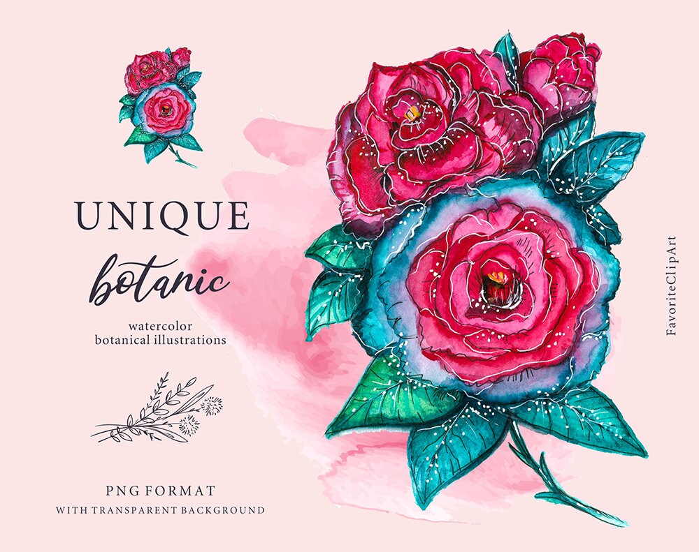 Collection of Watercolor Flowers in COLD Colors. Peony, Hydrangea, Rose ...