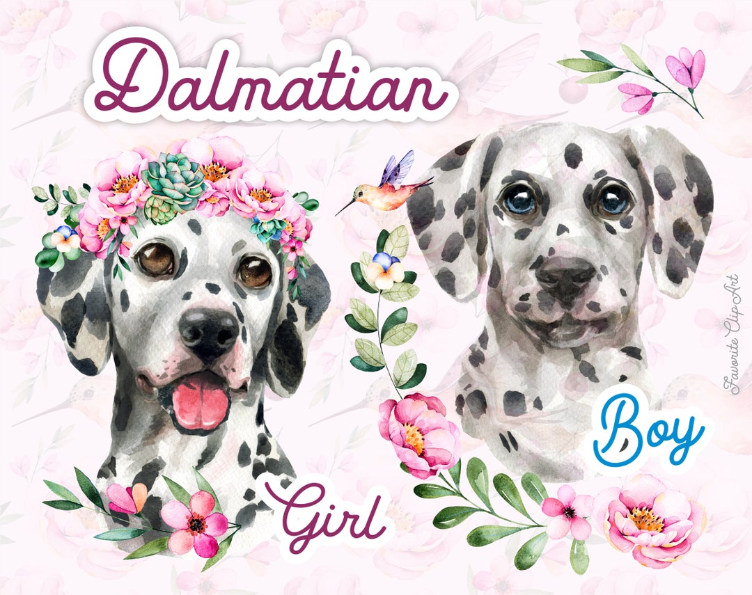 Dalmatian Dog Watercolor Portraits, Boy and Girl. Spotted Dog. 16 ...