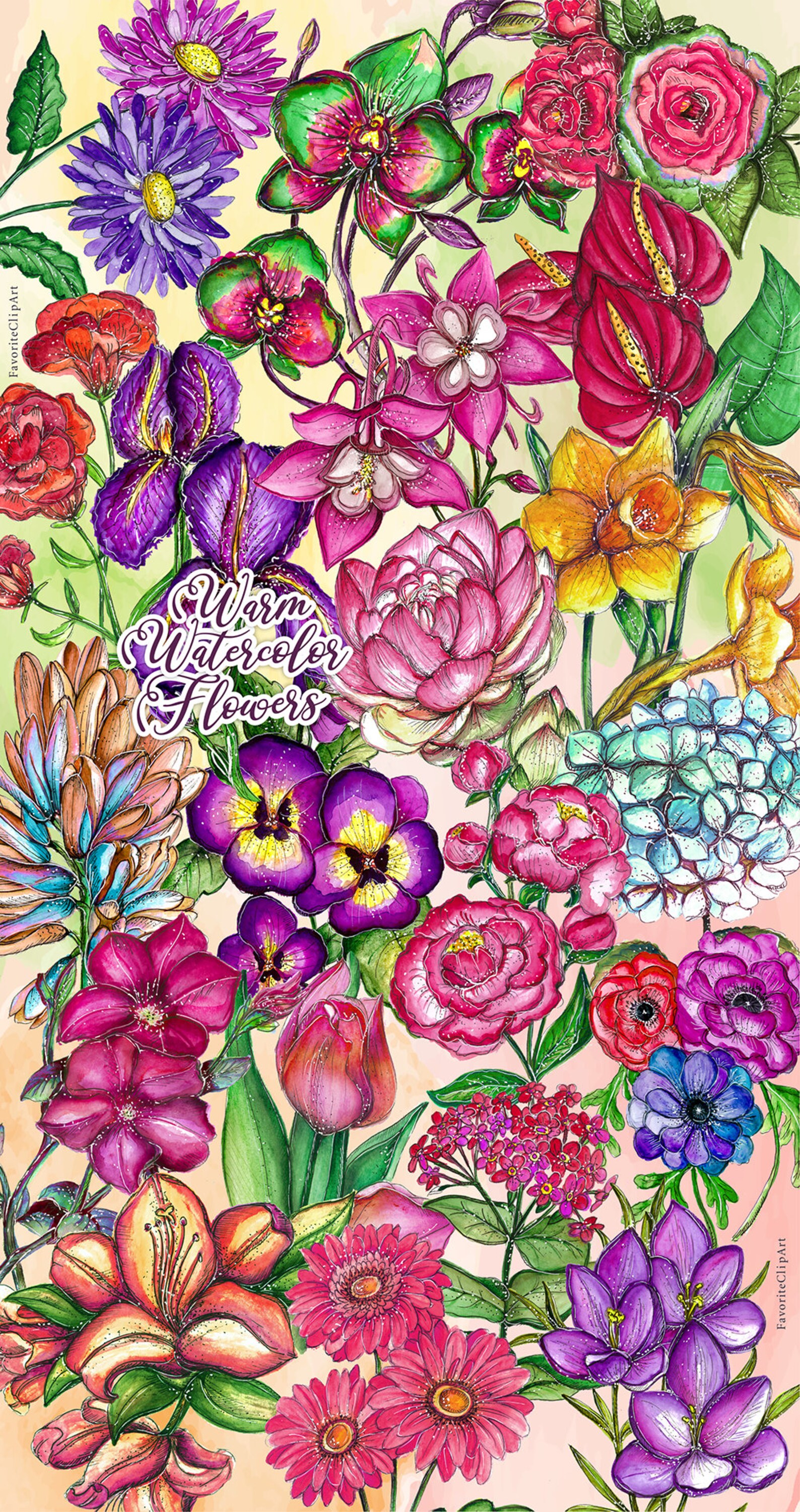 Collection of Watercolor Flowers in WARM Colors. Peony, Hydrangea, Rose ...