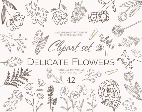 42 Vector Line Delicate Flowers Clipart Scrapbooking Flowers - Etsy