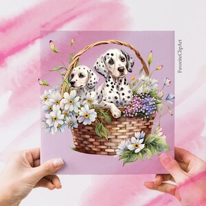 Dalmatian Watercolor Clipart, Spotted Dog, Puppies in a Basket, Puppies ...