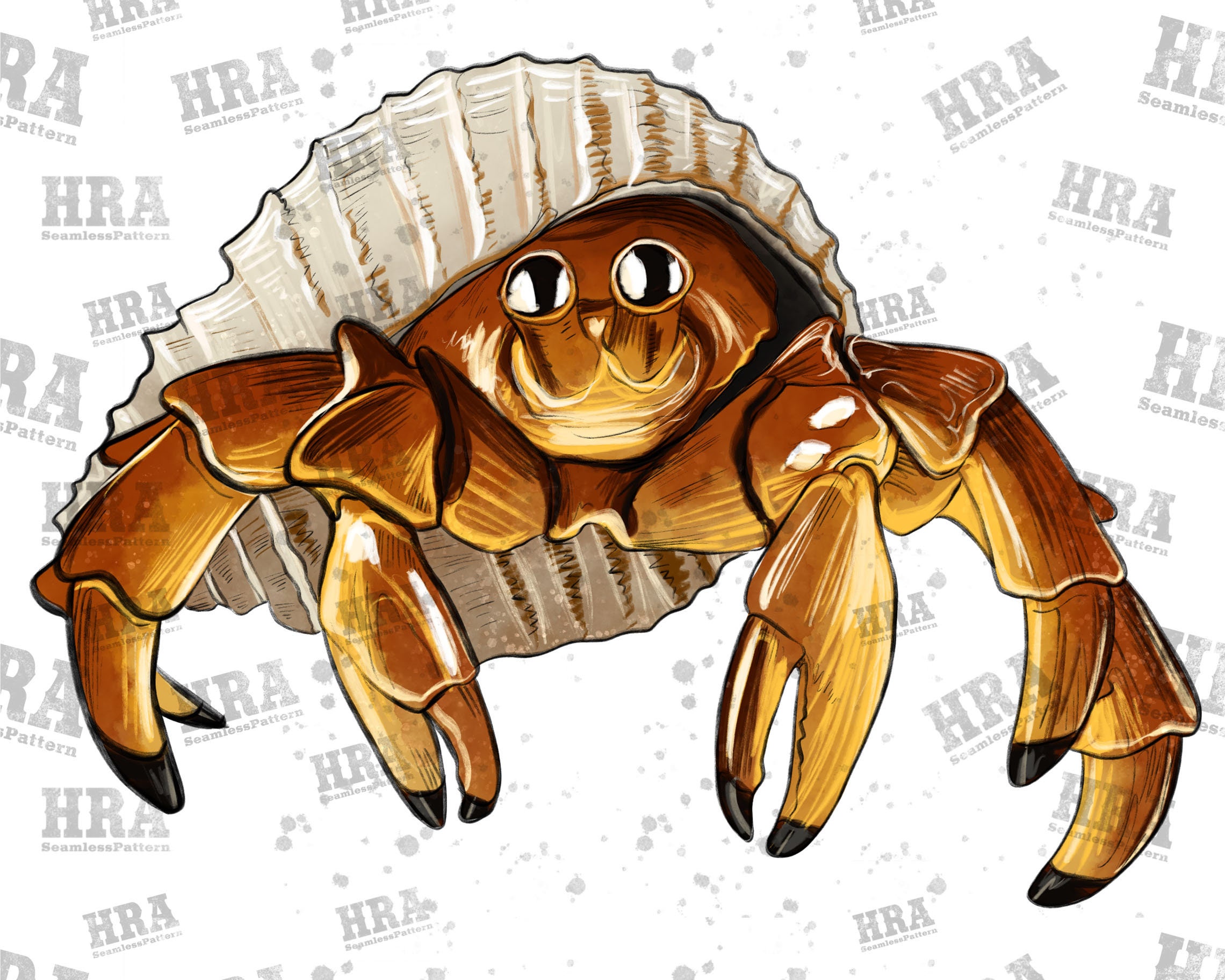 A House For Hermit Crab Clipart
