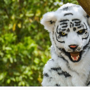 White Tiger Furry Full Suit With Head Tail Clothes and Paw - Etsy Canada
