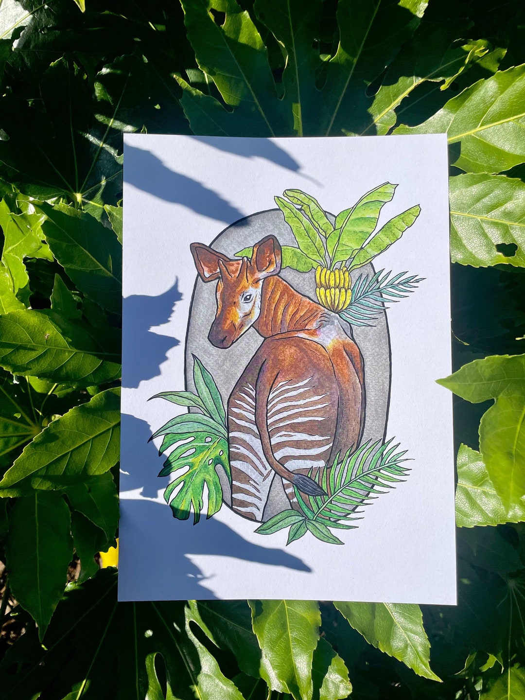 Okapi Print Painting | Okapi Gifts - Etsy
