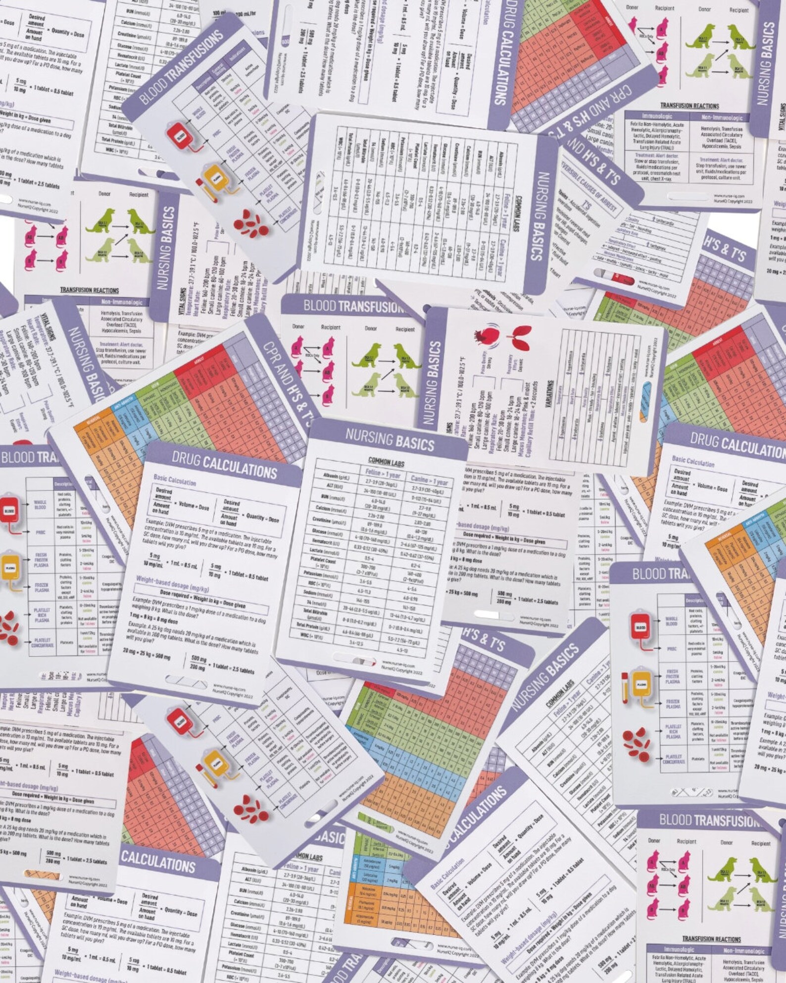 Veterinary Medicine Reference Card Bundle | Vet Med Badge Buddies for ...