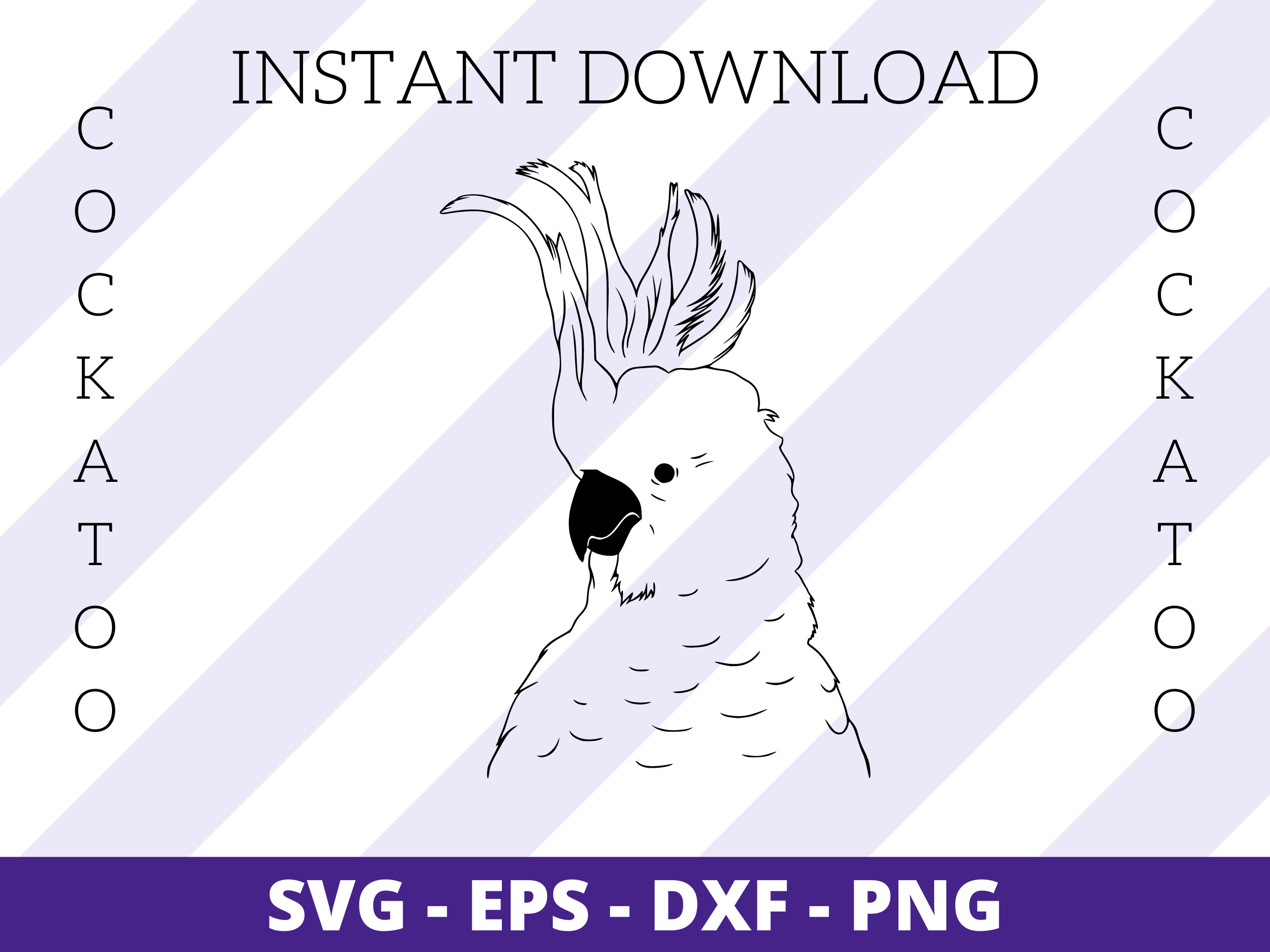 Cute Cockatoo Silhouette Parrot Bird Beak Parakeet Perch Beak SVG PNG ...