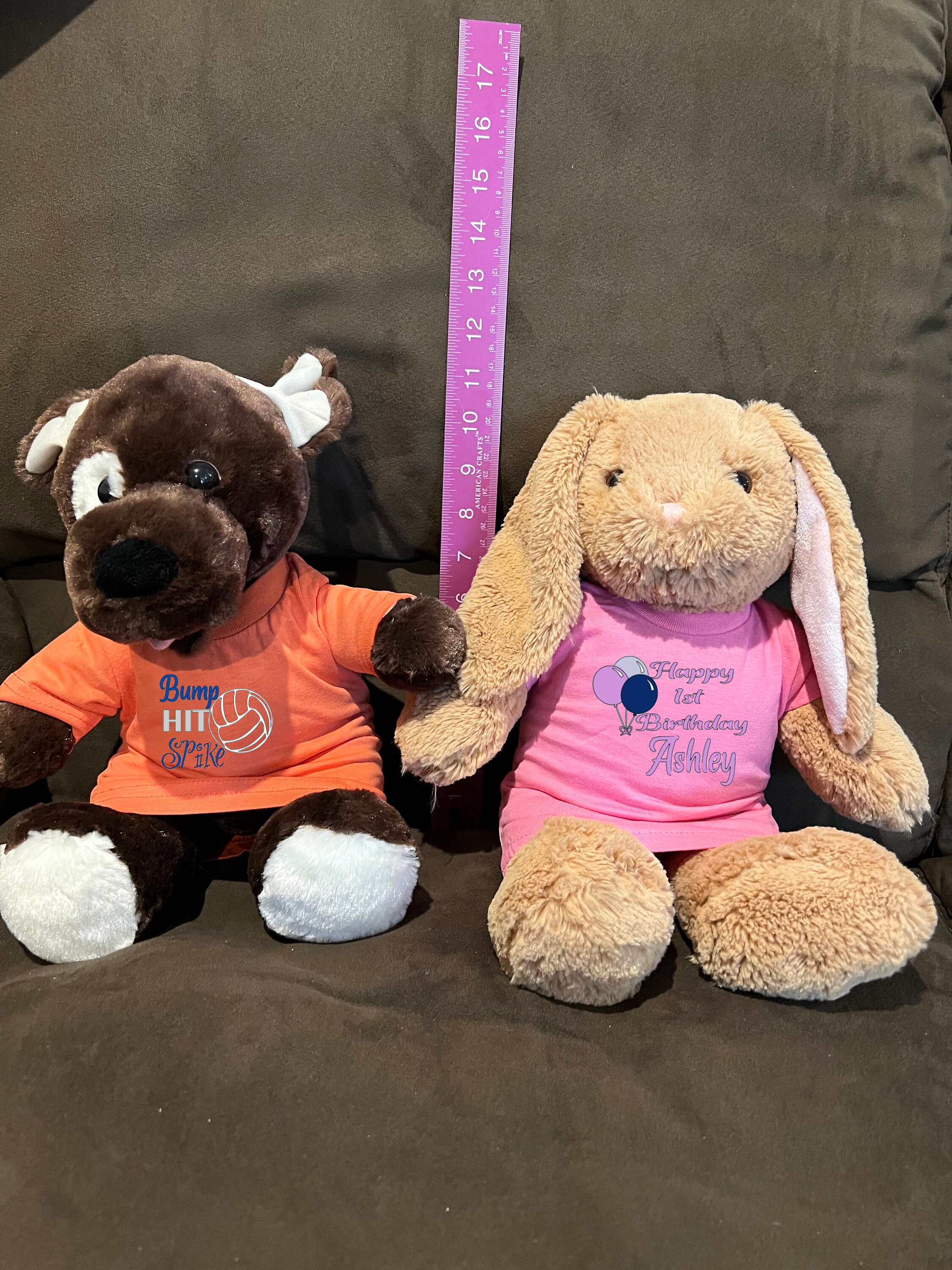 Personalized Matching Stuffed Animal Shirts - Etsy