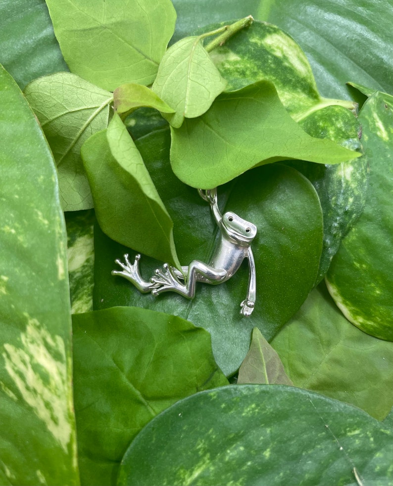 Happy Tree Frog Necklace, 925 Sterling Silver, 3D Pendant - Etsy