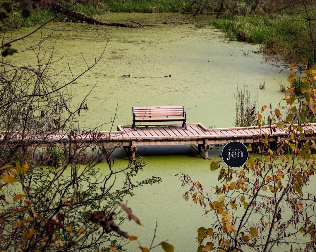 Bench Photography, Relaxing Nature Photography, Chair Art, Digital ...