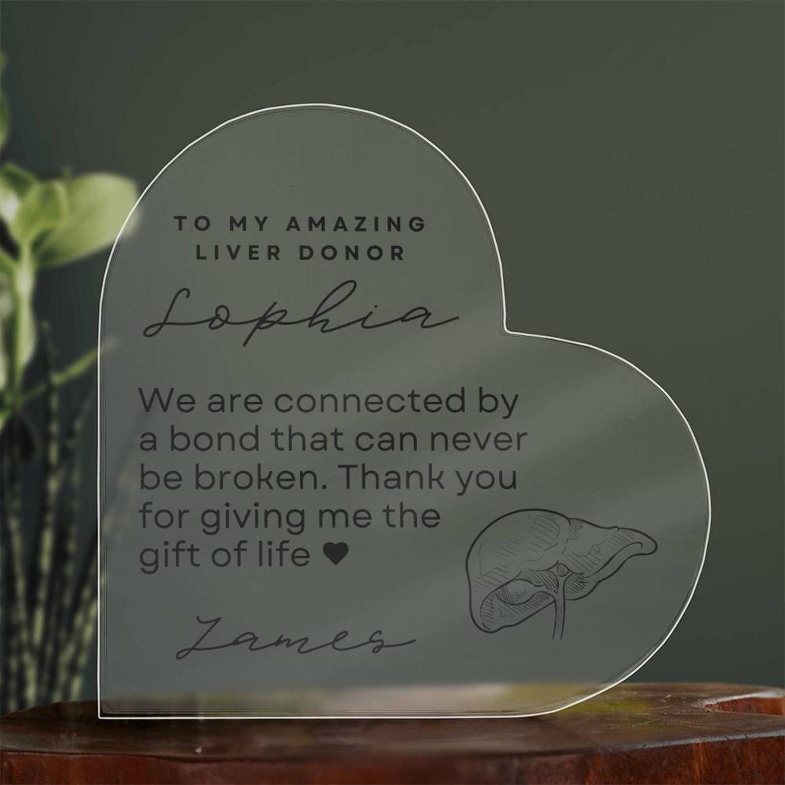 Personalized Liver Donor Appreciation Gift Liver Transplant Thank You ...