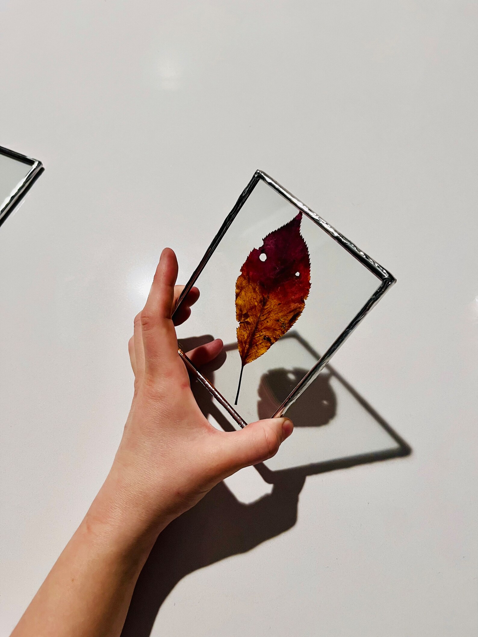 Stained Glass Wall Panel With a Pressed Fall Leaf - Etsy