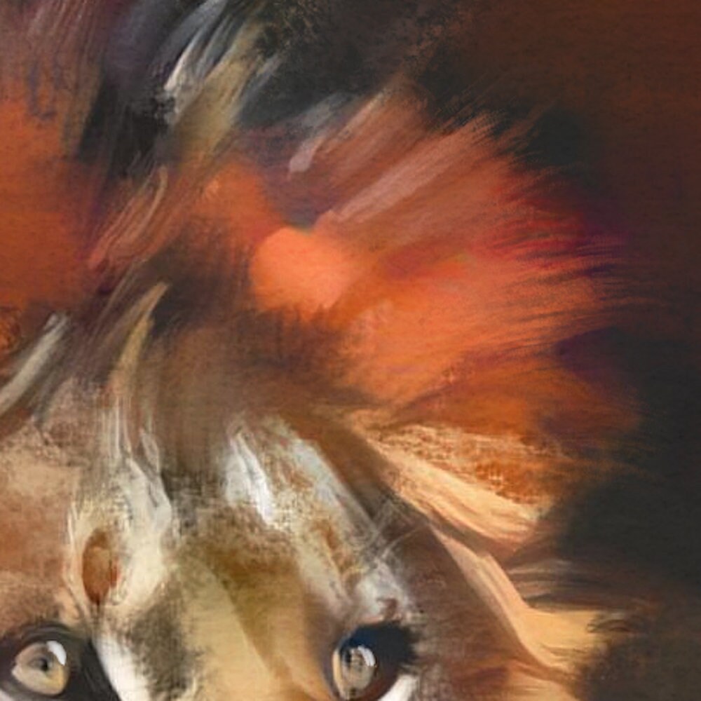 The King of the Jungle, a Lion’s Portrait by Raphael S ...