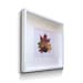 Large Maple Leaves Frame - Real Pressed Flowers & Leaves - Botanical ...