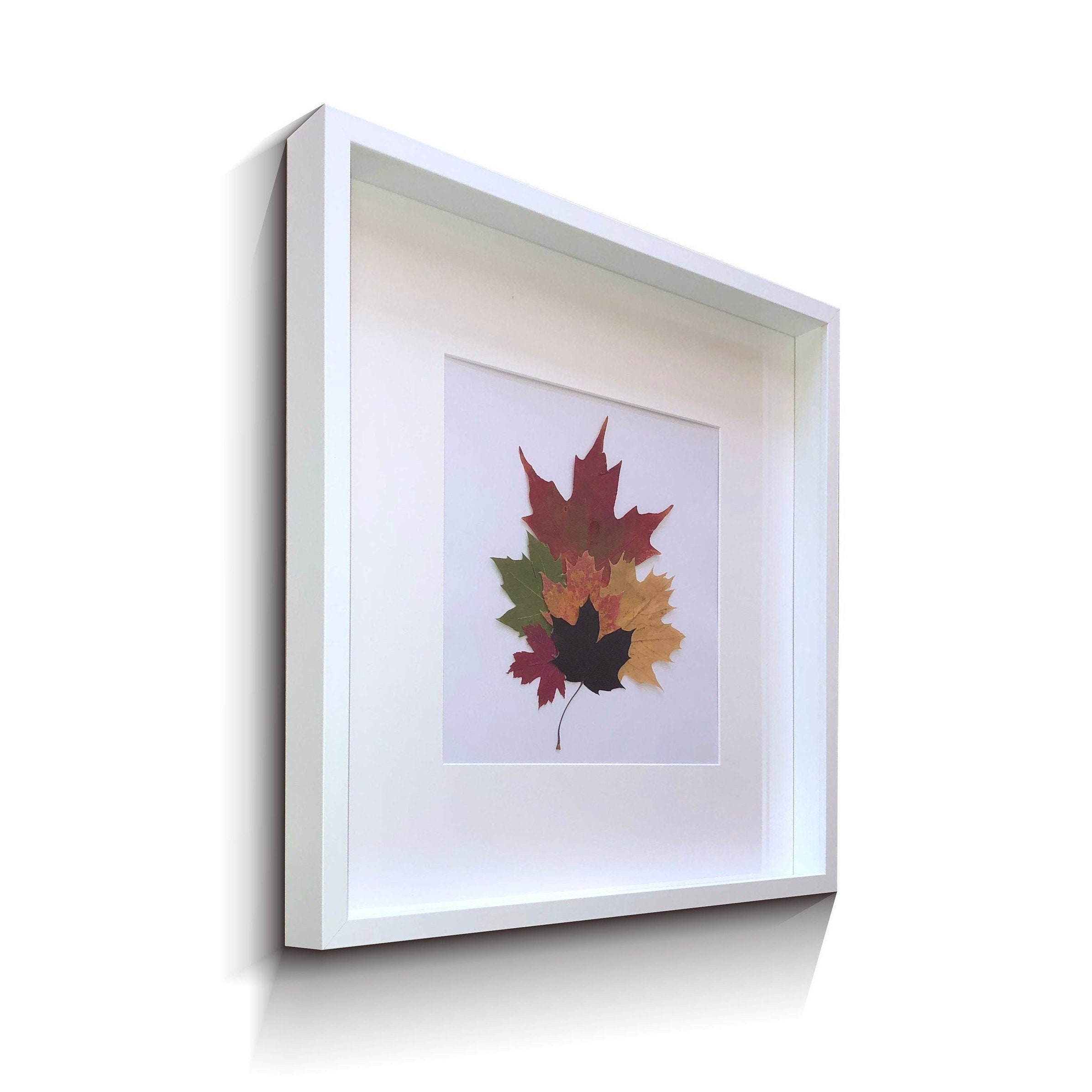 Large Maple Leaves Frame - Real Pressed Flowers & Leaves - Botanical ...