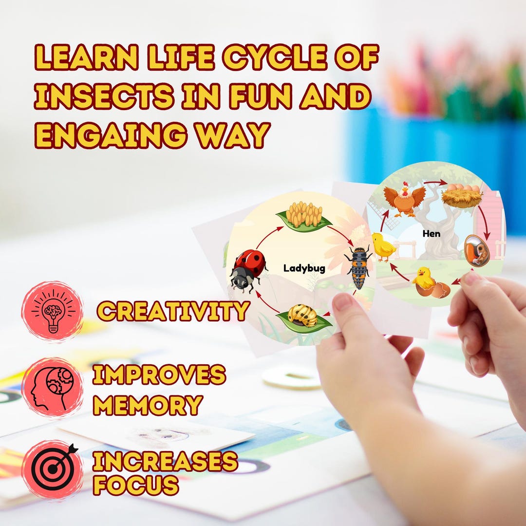 Insect Life Cycle Educational Bundle | Science Resources for ...