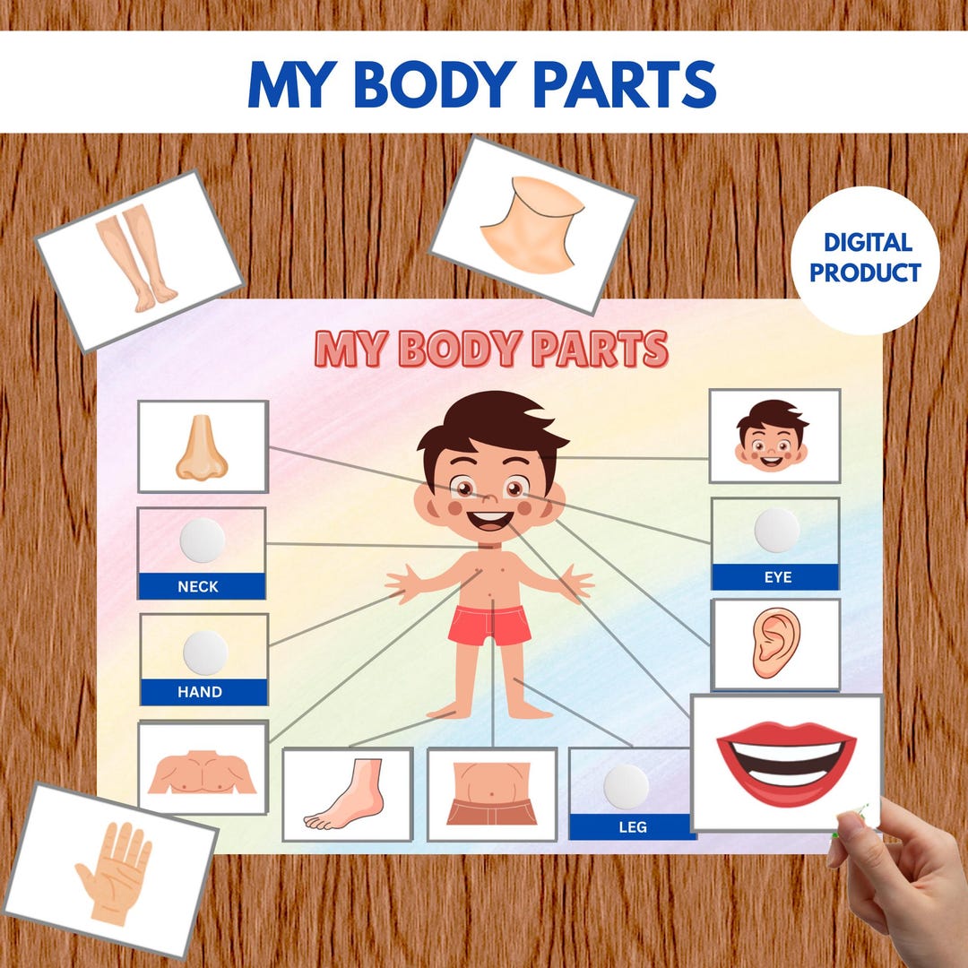 Body Parts Activity Book | Human Body Busy Book | Matching Activity for ...