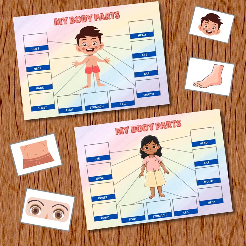 Body Parts Activity Book | Human Body Busy Book | Matching Activity for ...