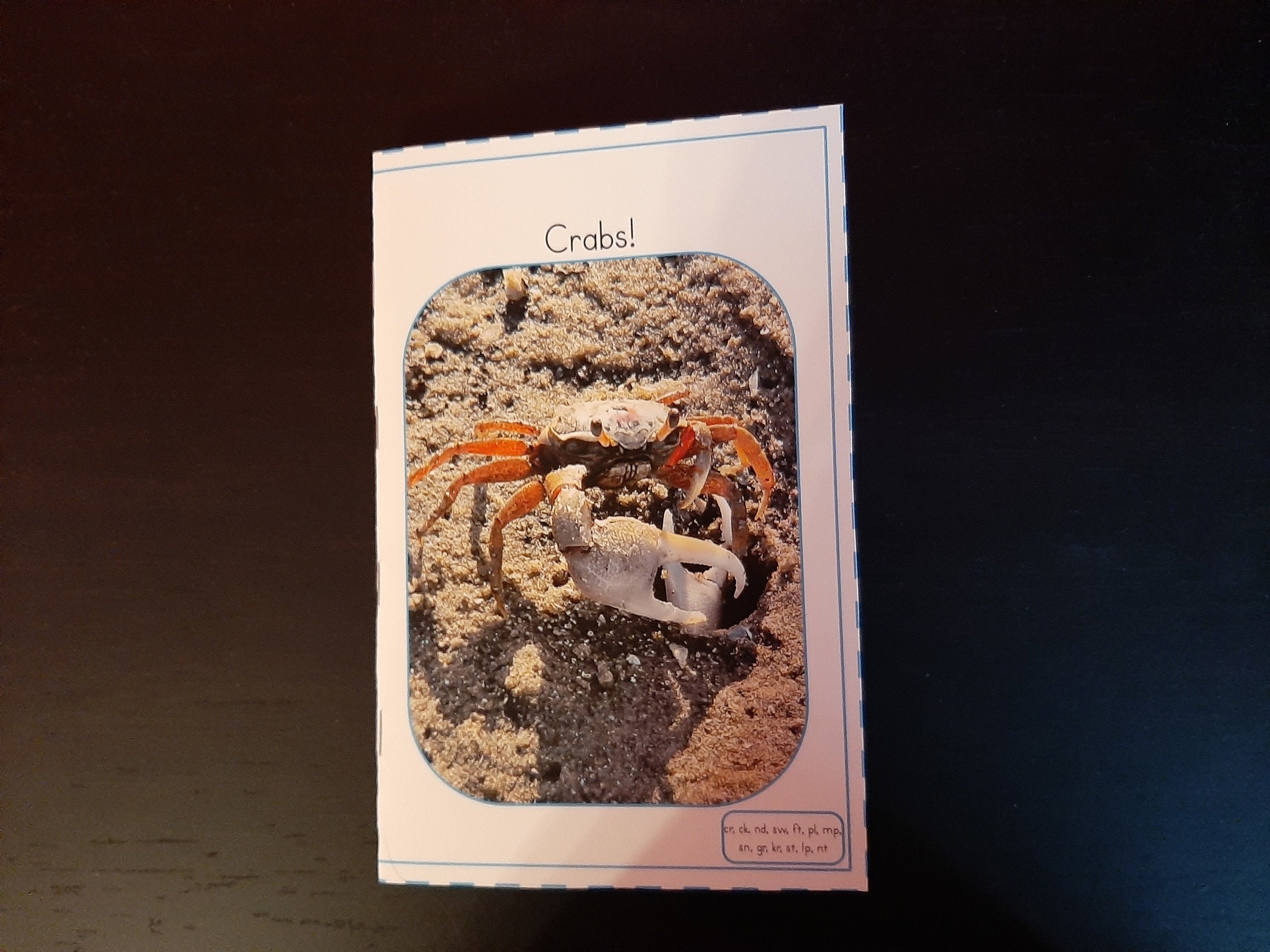 Nonfiction Decodable Readers (blends) - Etsy