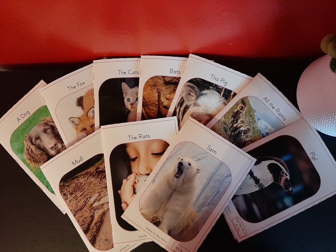 Nonfiction Decodable Readers (CVC) - Etsy