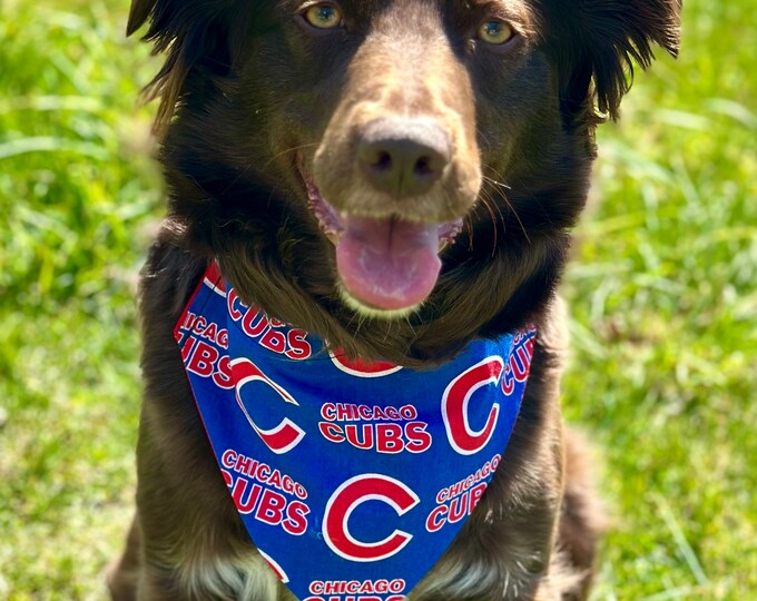MLB Chicago Cubs Baseball Tie on Dog Bandana - Etsy