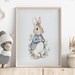 Beatrix Potter Peter Rabbit Illustration, Benjamin Bunny Nursery Wall ...