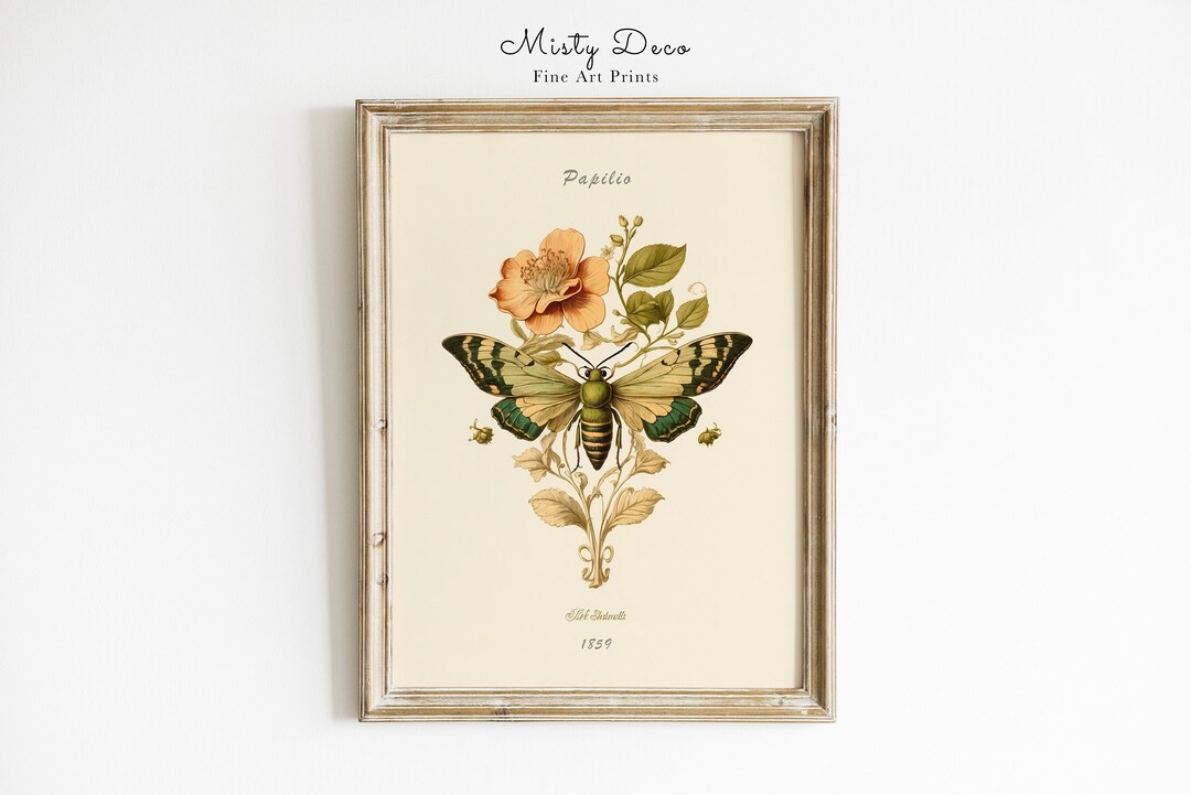 Vintage Green Tone Butterfly and Florals Illustration, Antique Old Book ...