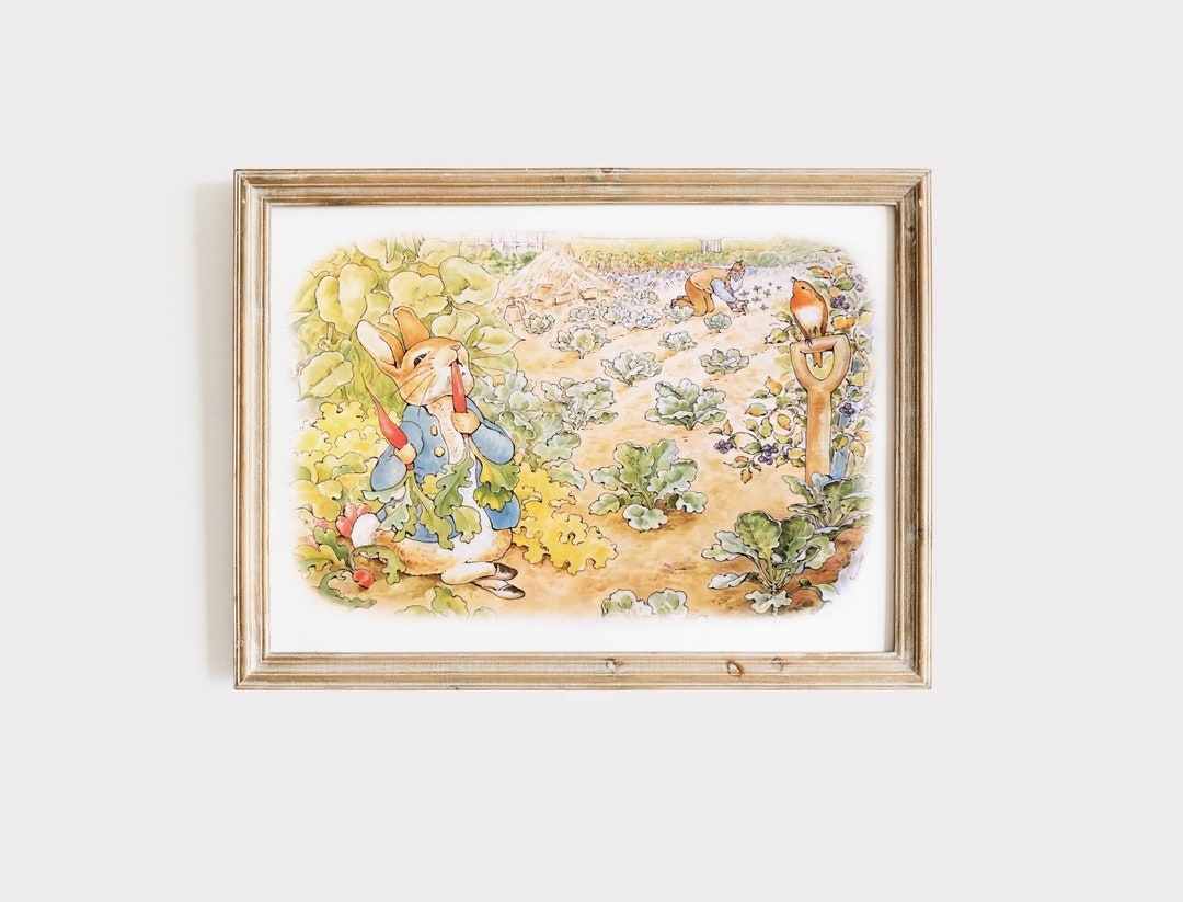 Peter Rabbit Eating Carrots in Mr Mcgregor's Garden Illustration ...
