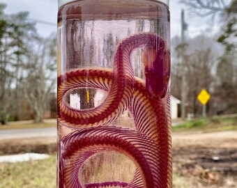 Diaphonized Garter Snake in Skull - Etsy