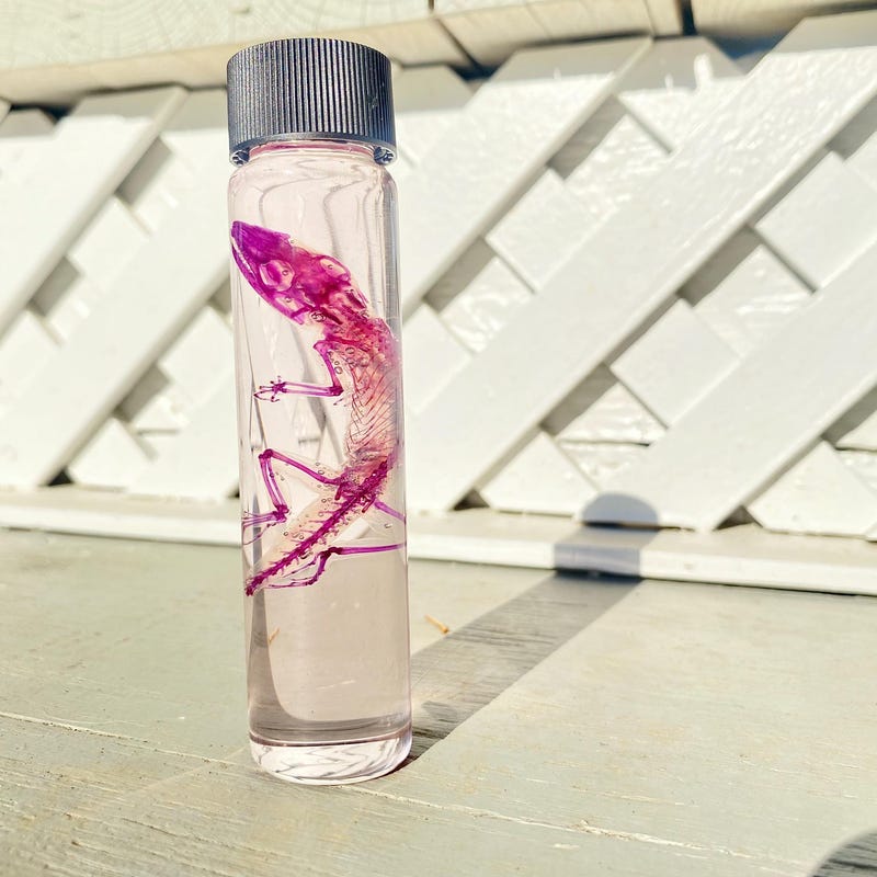 Diaphonized - Etsy