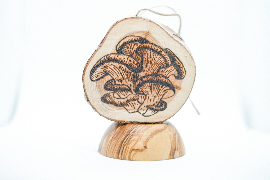 Mushroom Gift Pyrography Wood Burning Art Bauble Hanging Wall Art Gift ...