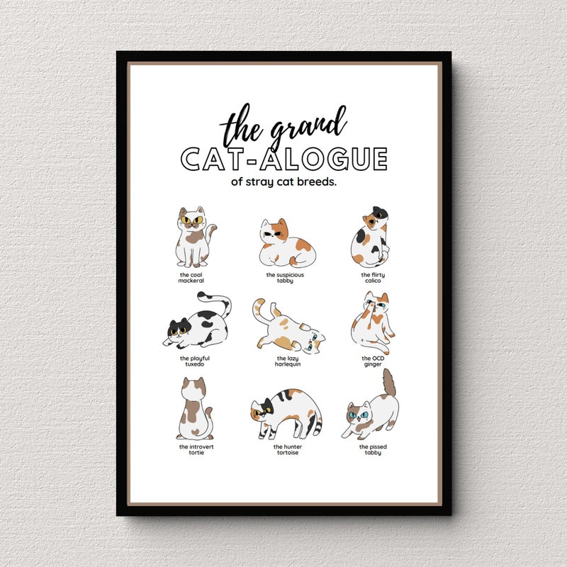 Breeds of Cats Poster - Etsy