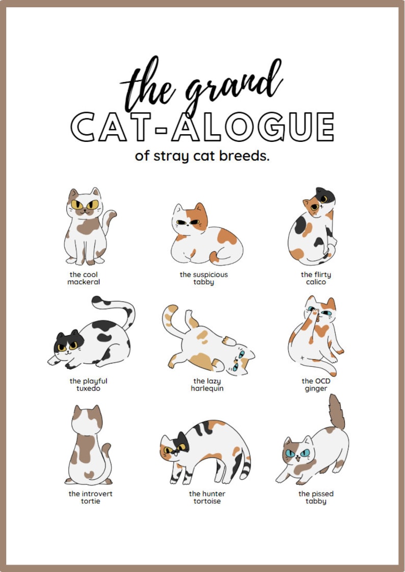 Paws-itively Adorable: the Grand Cat-alogue of Stray Cat Breeds Poster ...