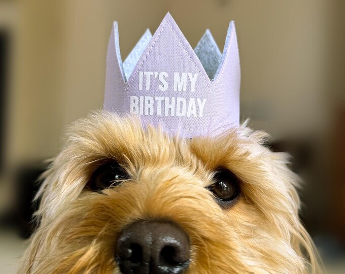 Dog Birthday Crown | Pet Birthday Crown | Dog Crown | Pet Crown Dog ...